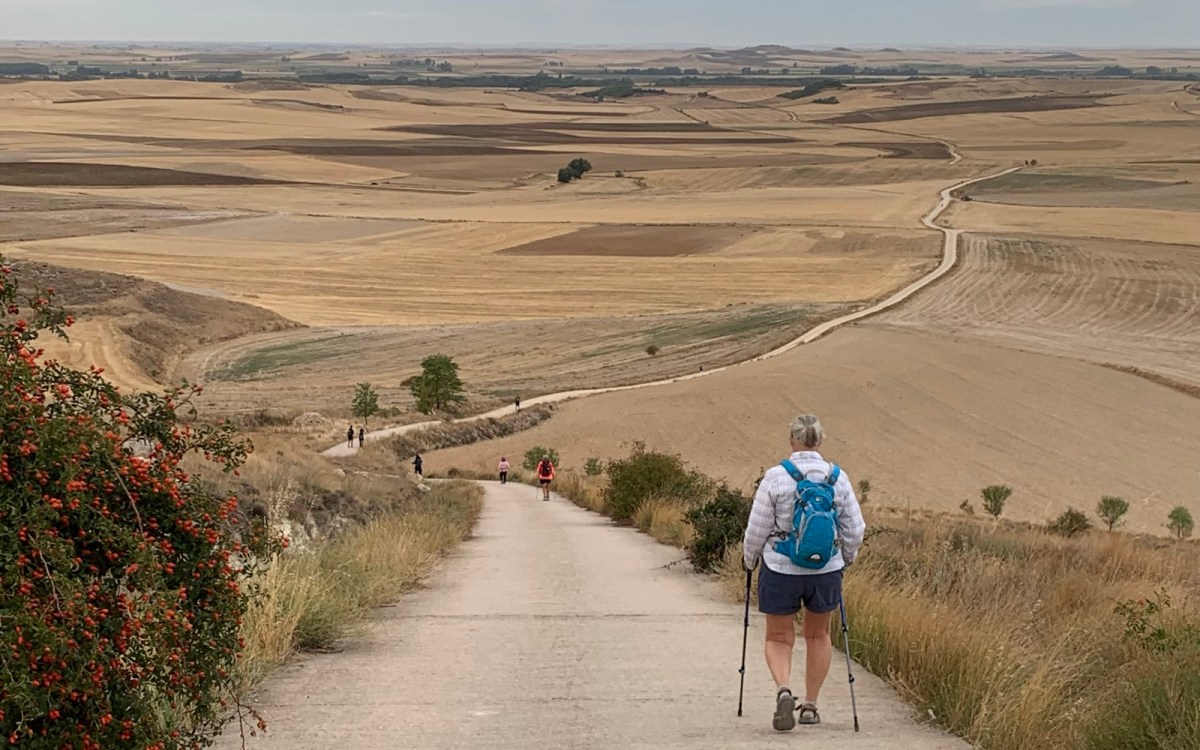 Camino 2023 – Jimandi